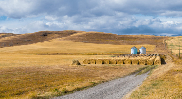 How Does Fiber Optic Internet Work?