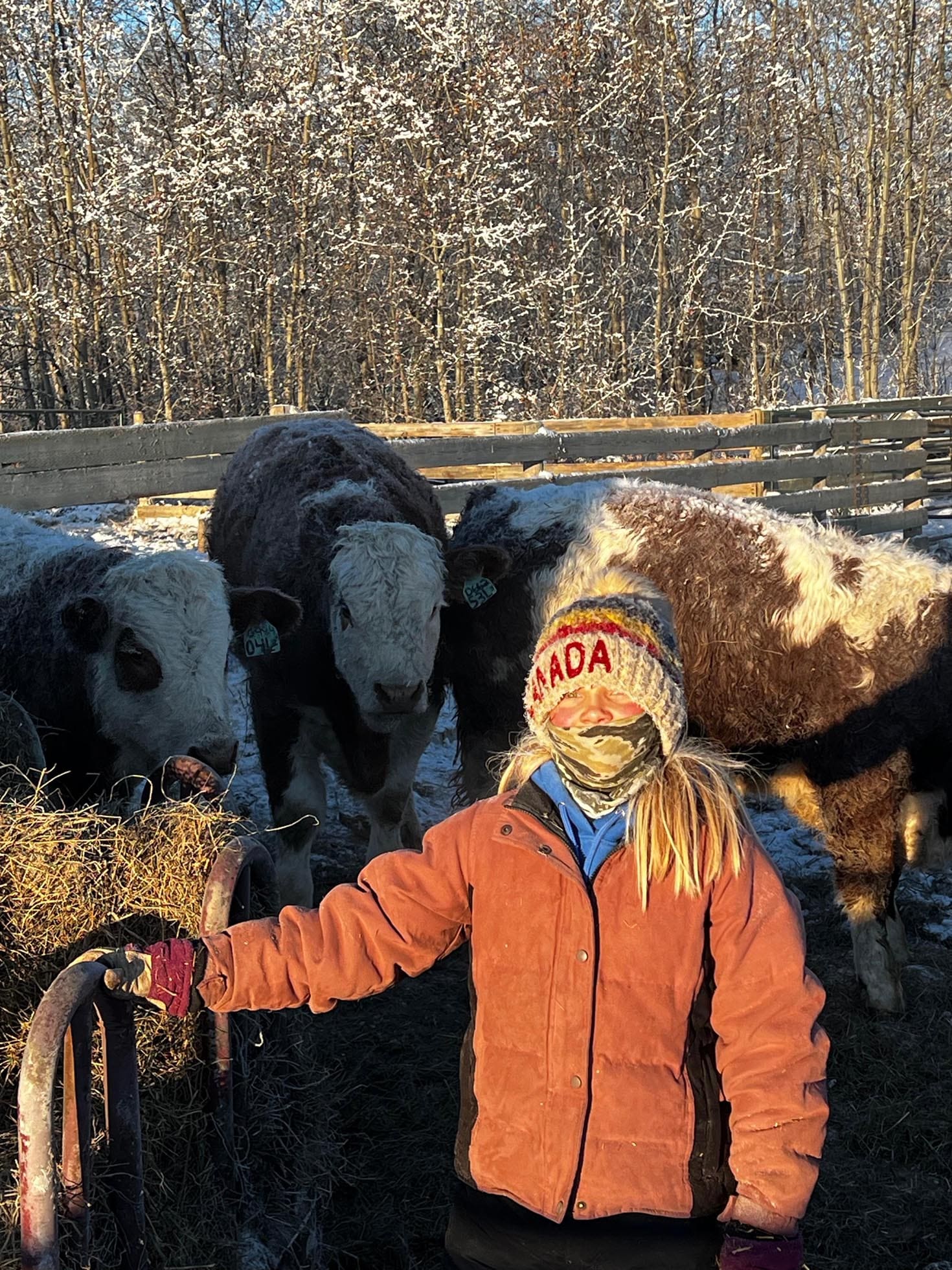 High-Speed Internet In Rural Alberta | MCSnet